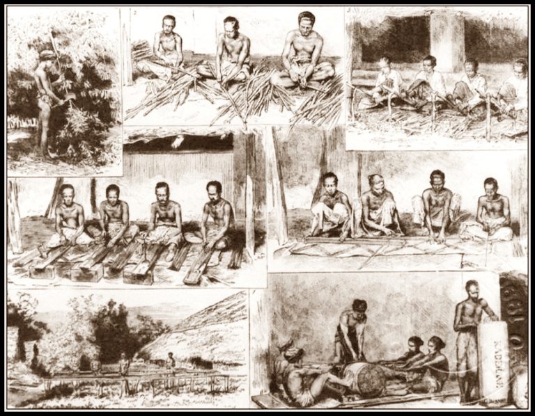 Ceylon Cinnamon History – Samadi Export